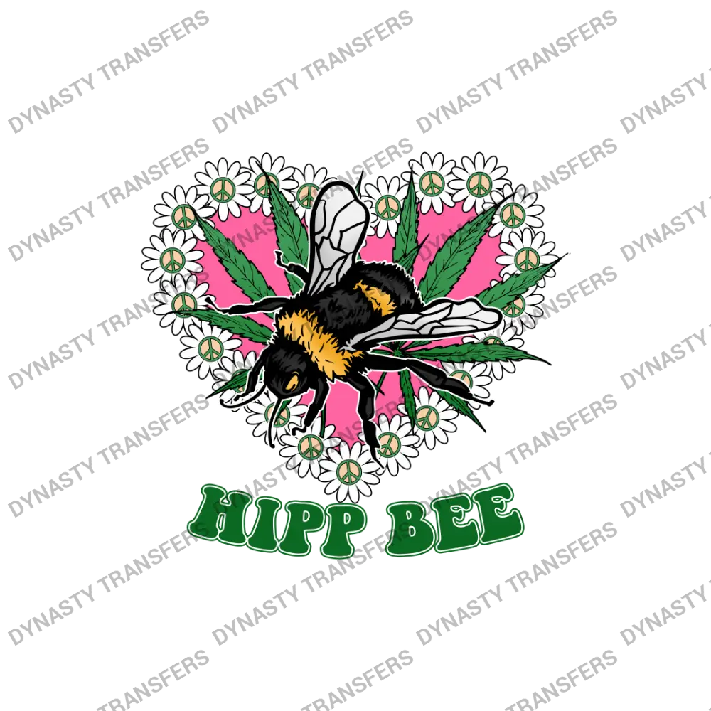 Hipp Bee – Dynasty Transfers